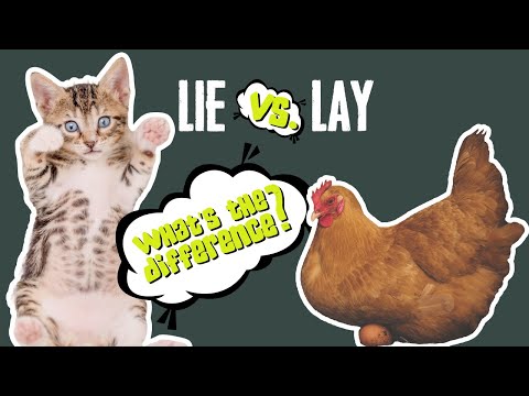 Lie ๐ Lay #whatsthedifference #whiterabbitenglish