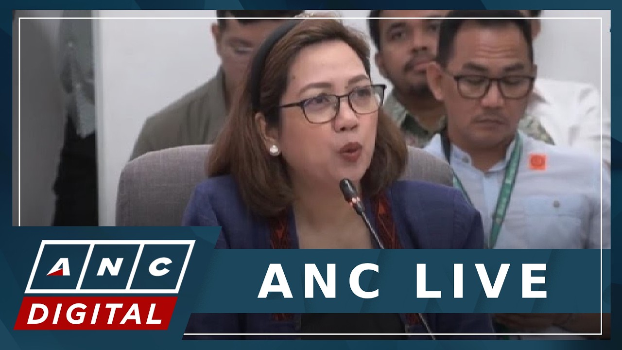 Rep. Garin: We are not the impeachment court, we are only determining probable cause | ANC