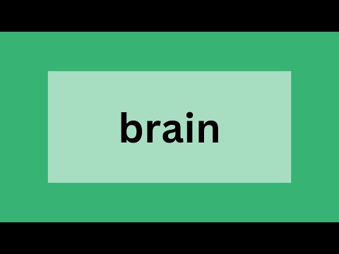 Brain | Definition, Origin and Function in the Nervous System