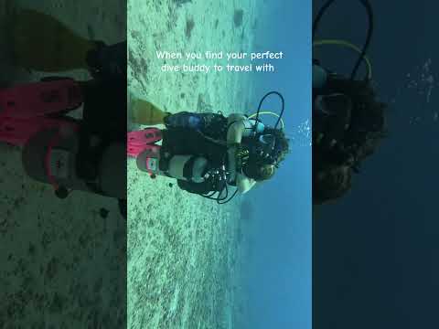 Couldn't Ask For A Better Dive Buddy/Travel Partner π #NevescotsProject