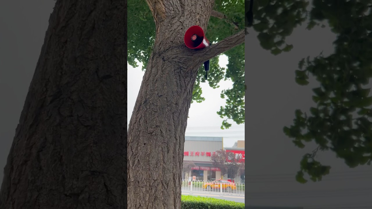 Beijing street megaphone #beijing #beijinglife #beijingstreet #china #chineselife #megaphone #voice