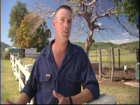 Seachange Treechange - Mackay (Part 1)
