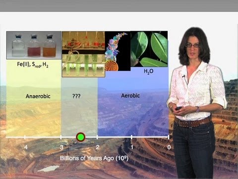 Primitive photosynthesis - Dianne Newman (Cal Tech/HHMI)