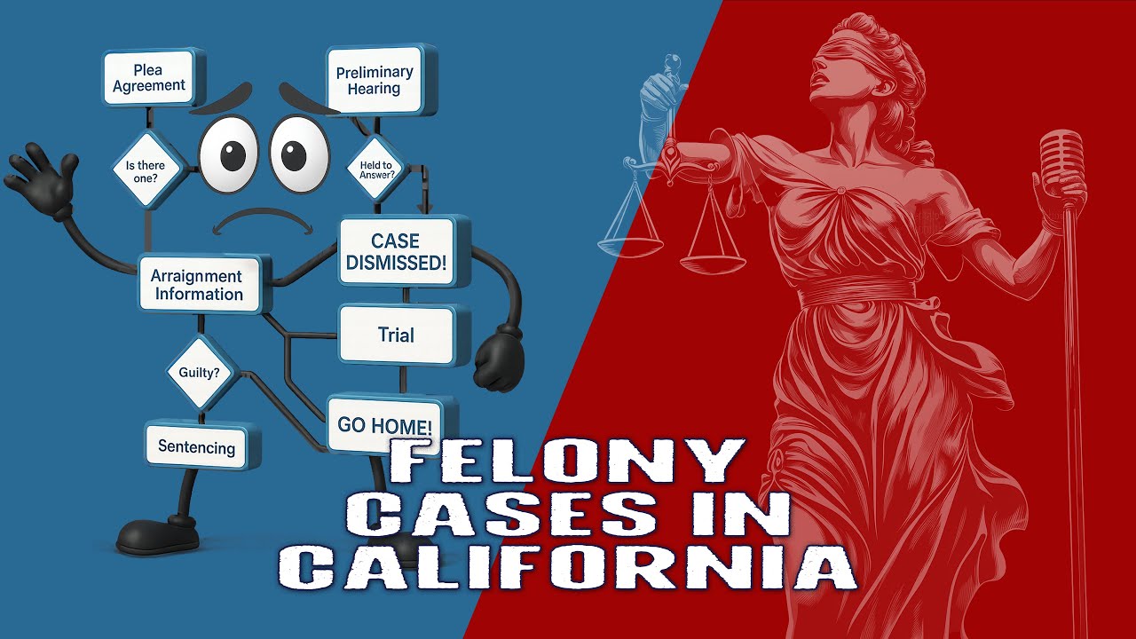 Felony Legal Process — Your Guided Tour from a Defense Attorney #CriminalDefense #CourtroomInsights
