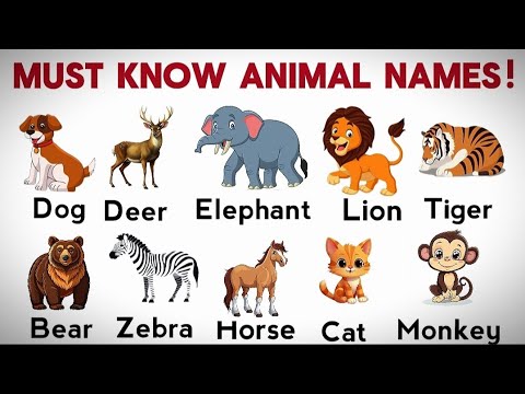 70 Animal Names in English | Common Animals with Pictures