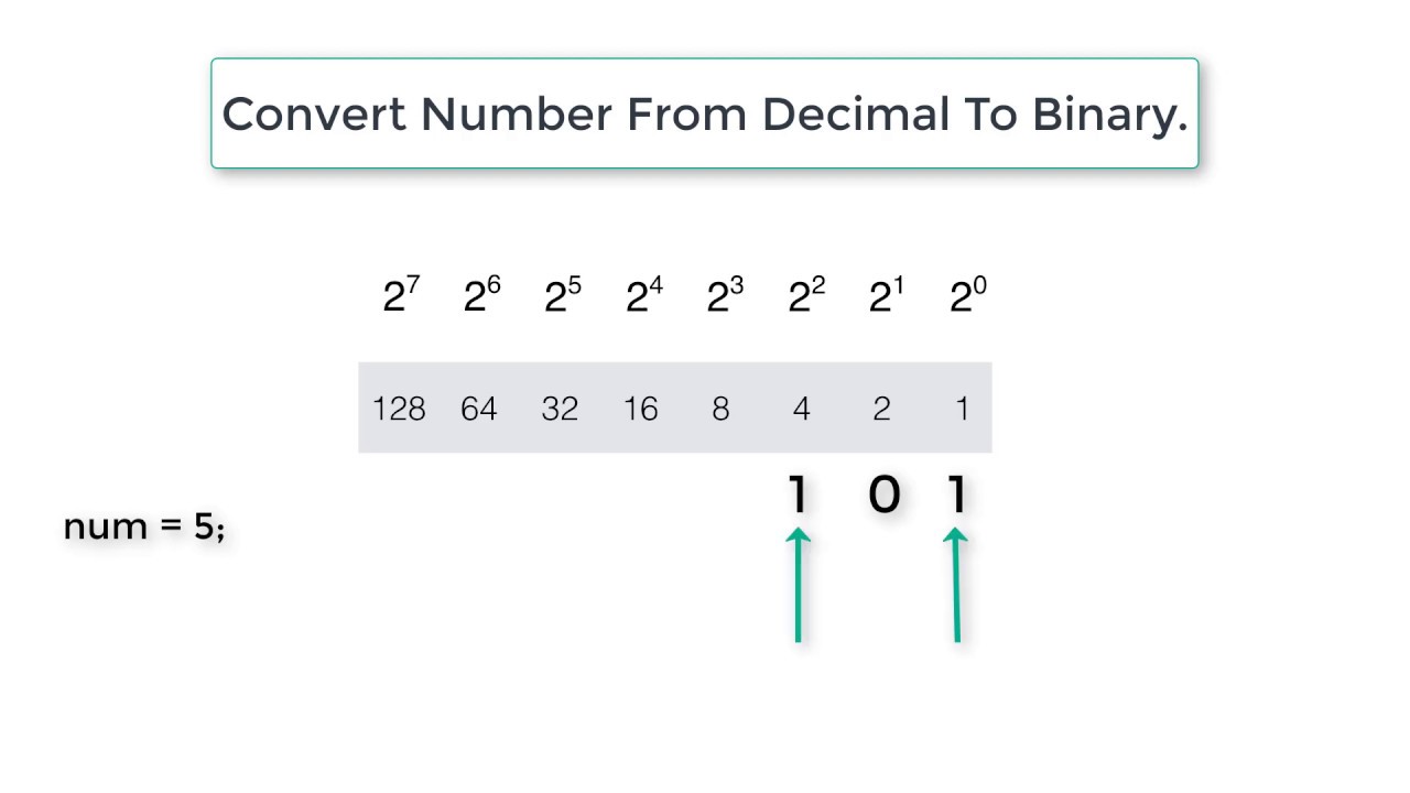 C Program To Convert Decimal Number To Binary Number, using While Loop