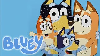 Bluey: Little Library - Read Aloud Kids Storybook #Bluey - book-news.org