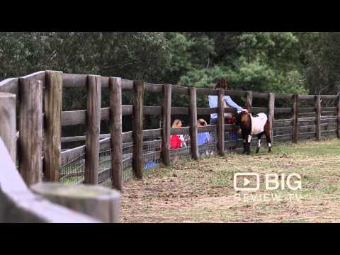 Collingwood Children's Farm in Melbourne offering animal farm, Cafe and Farmers Market