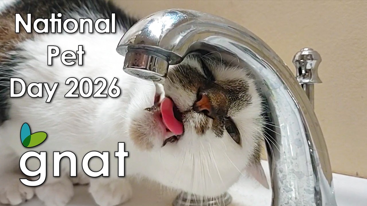 Celebrating National Pet Day 2026