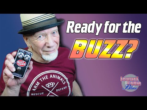 Jordan Buzz Tone | Reverb