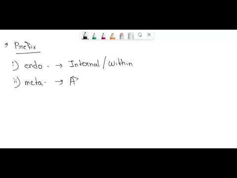 The prefix meaning within is: A) endo- B) meta- C) exo- cent- 7) The prefix meaning through is: tra…