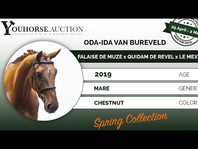Youhorse.auction | Oda-Ida van Bureveld