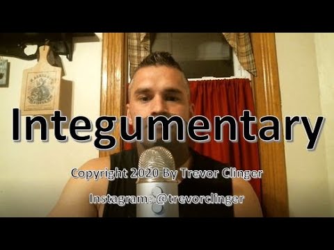 How To Pronounce Integumentary