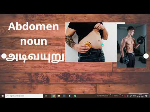 Abdomen tamil meanig, abdomen, abdomen in tamil,
