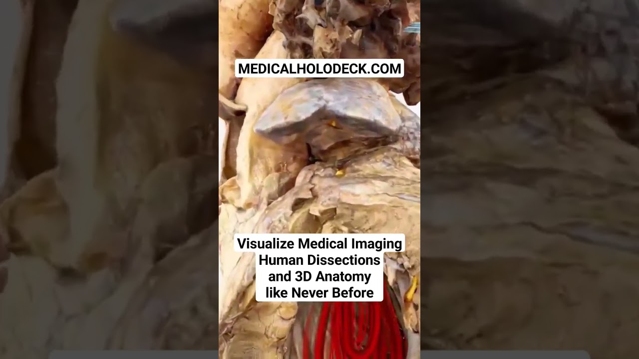 Transforming Surgical Training and Medical Education With AR and VR