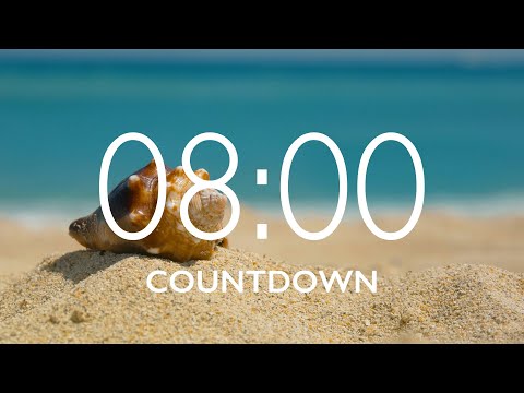 8 Minute Timer with Music and Alarm 🎵⏰