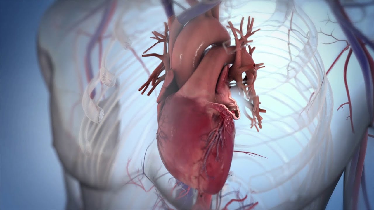 AFib Patients Stroke Prevention: The WATCHMAN™ Device - Dr. Philip Patel