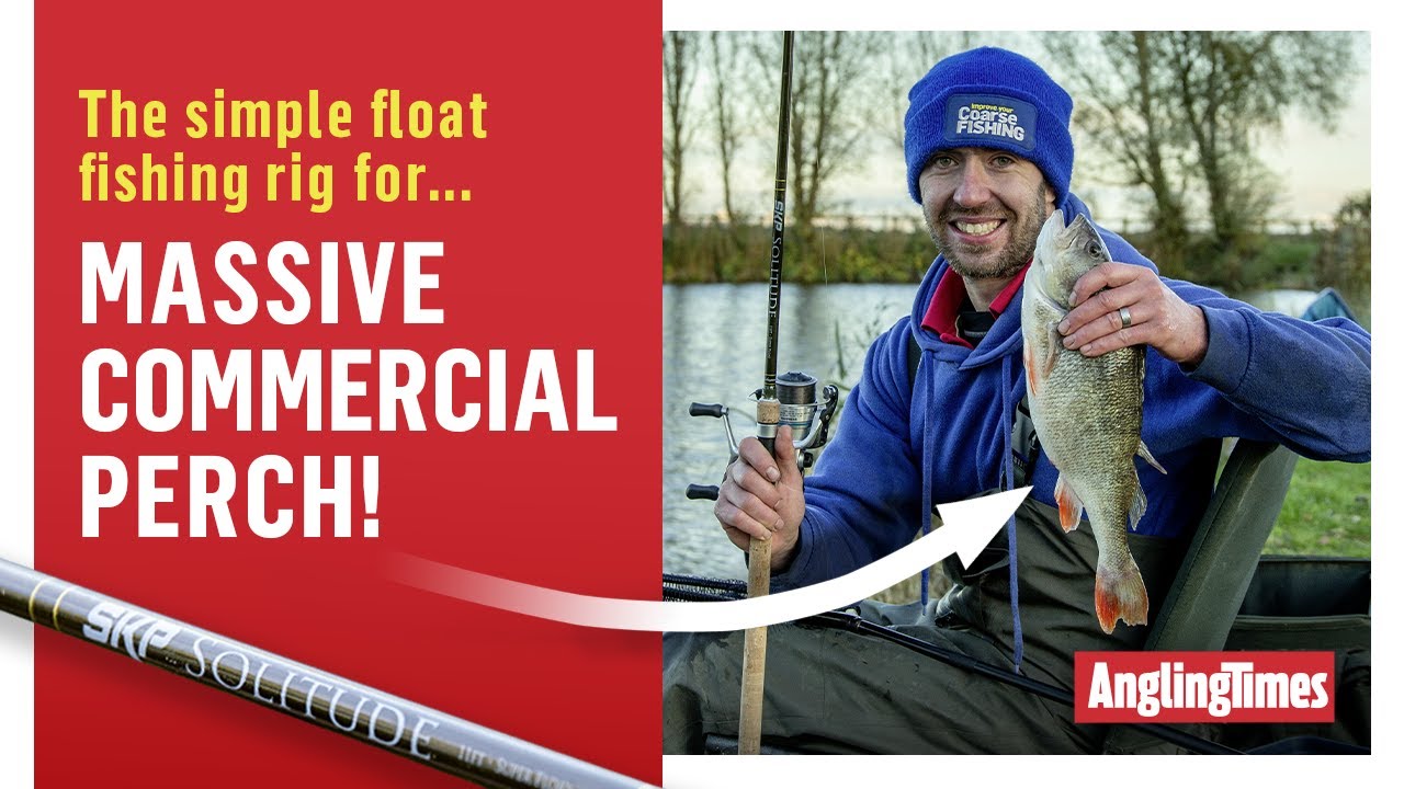 Float Fishing For BIG Commercial Perch - Try These Tips!