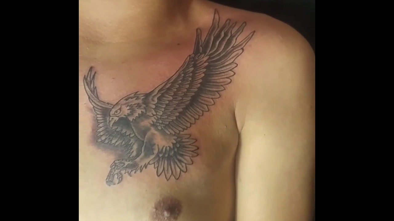 Tatuagem de águia no peito. Estúdio Tubarão Tattoo. Tatuador: Gilberto Alves Rua: Antônio de Miranda