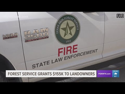 Texas A&M Forest Service grants $155K to landowners