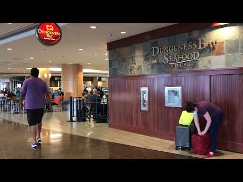 (SEA) Seattle, WA. S. Gates / Terminal Updated Walk Through.