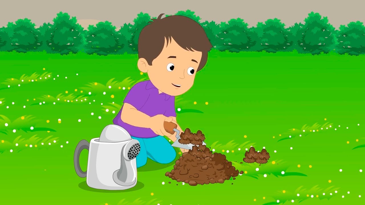 Plants are Friends - Nursery I LKG | UKG I Play I Activity I Animated | Poems | Stories