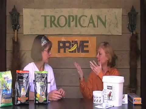 PRIME (part 2 of 3)