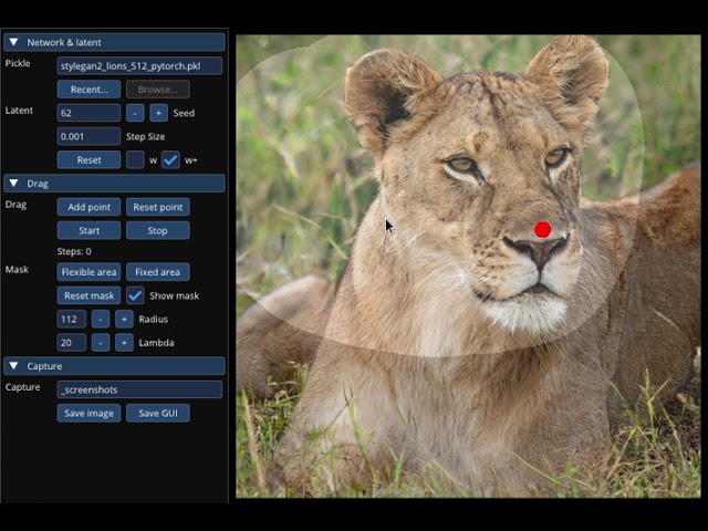 How to use DragGAN AI photo editor? Best features, steps, and more explained