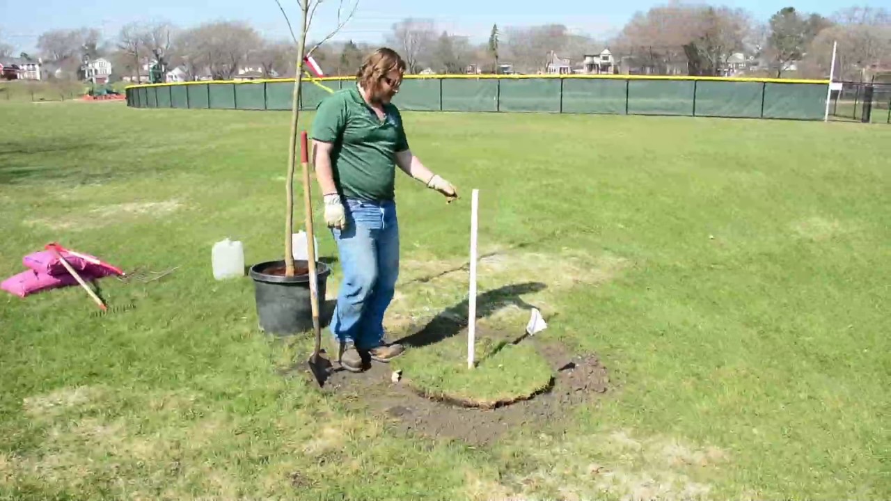 Arbor Day 2020 Tree Planting