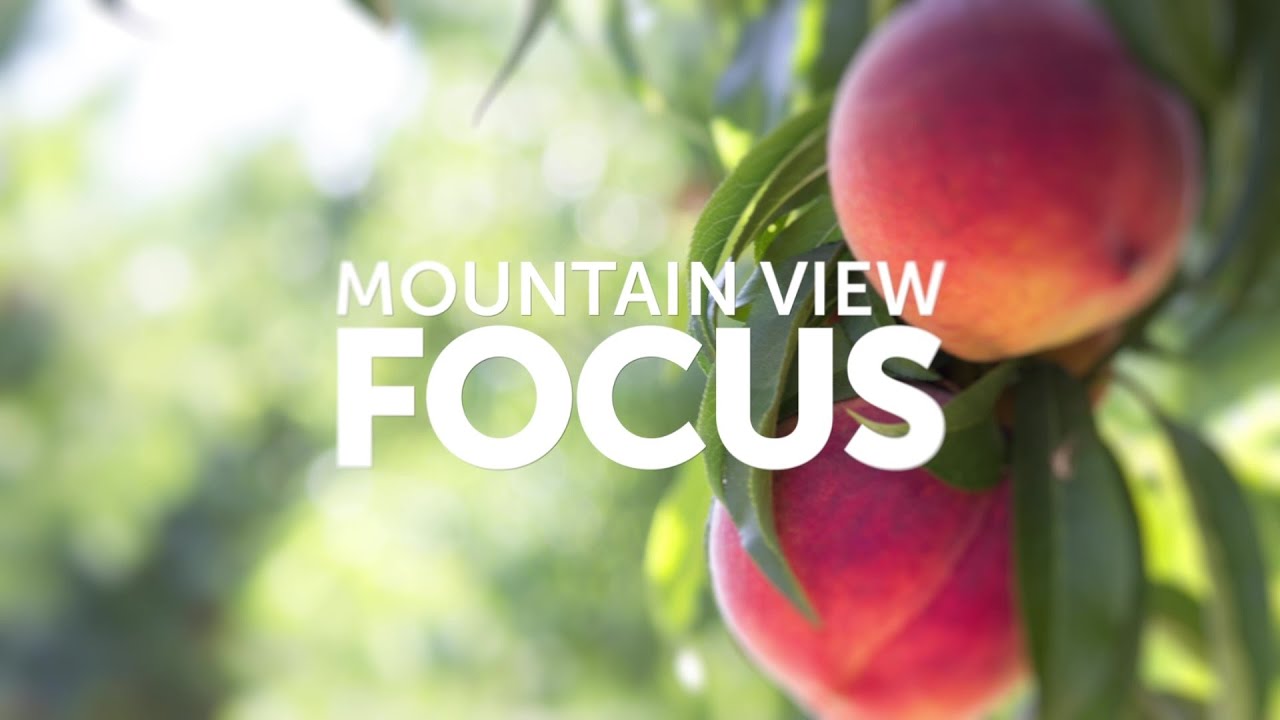 FOCUS on Fall Fruit