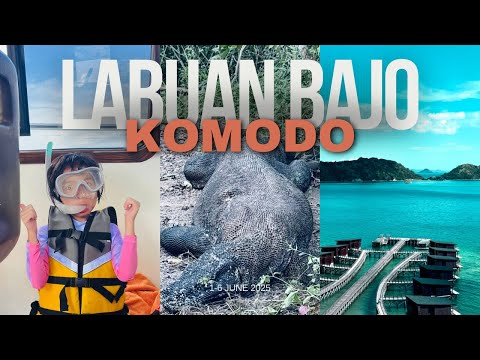 A family trip to Labuan Bajo! Land of the Komodo Dragons! #komodo #labuanbajo #komododragons
