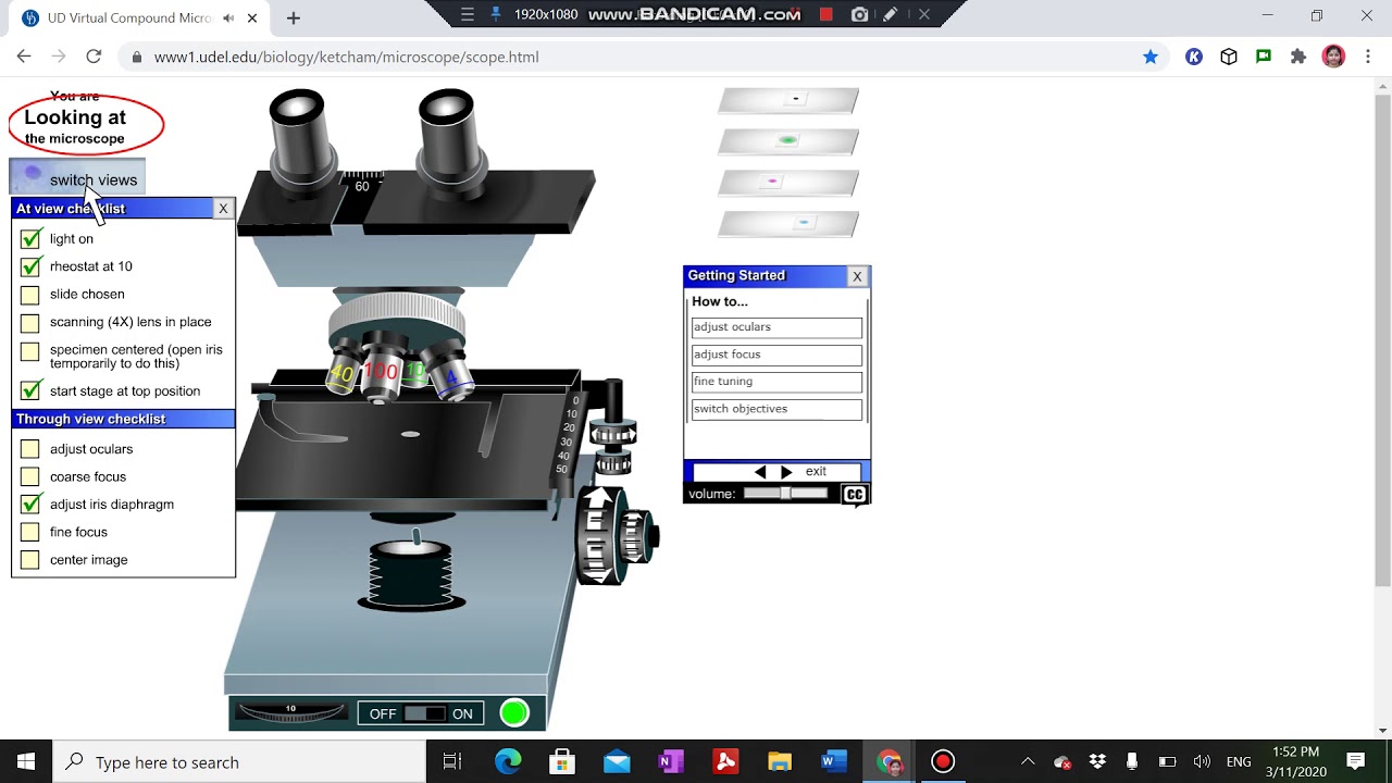 Guide to Use the Compound Light Microscope in Virtual Lab