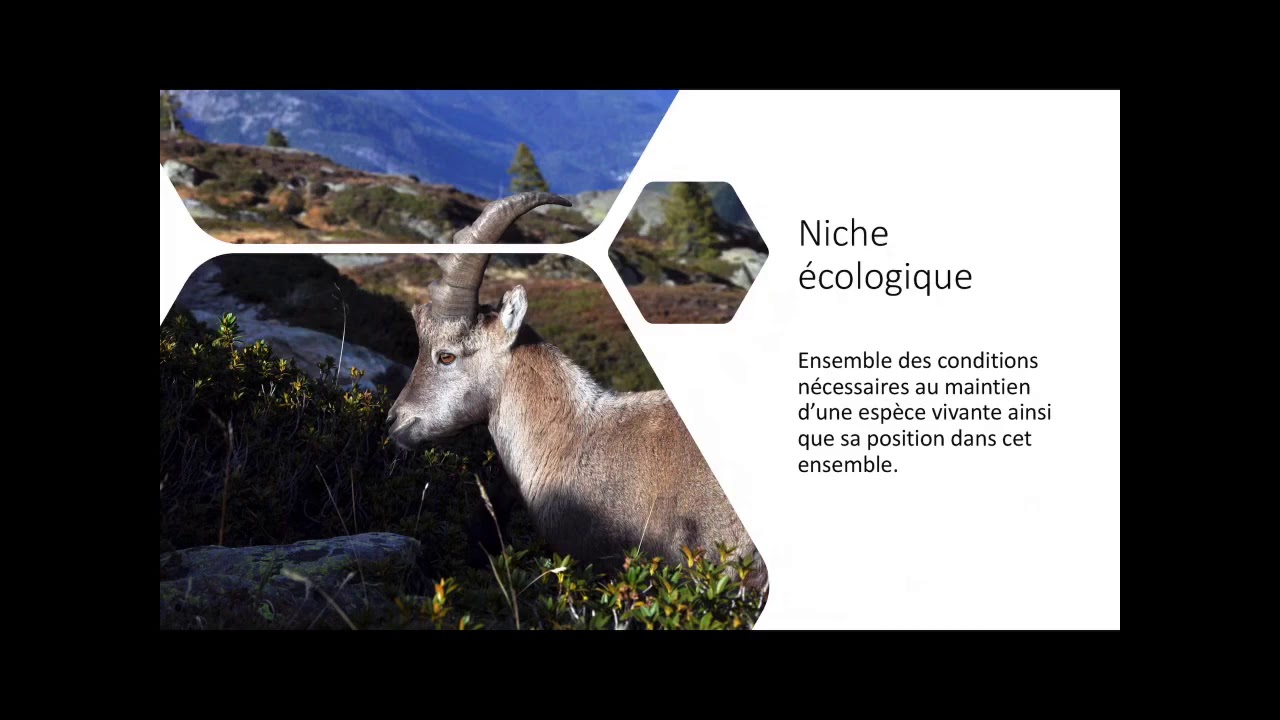 Science secondaire 1  révision chap 1