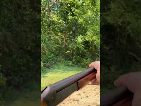 Steven Model 94c, Beautiful Single Shot