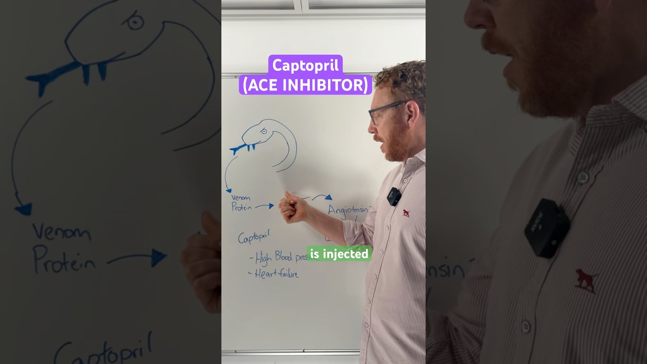 Captopril (ACE Inhibitors)