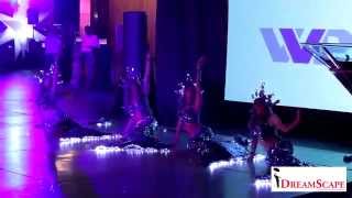 LED Mermaids - SK Events