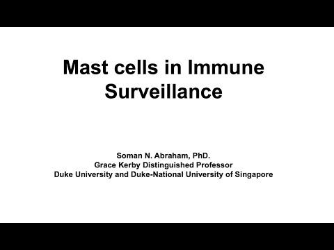 Mast Cells in Immune Surveillance