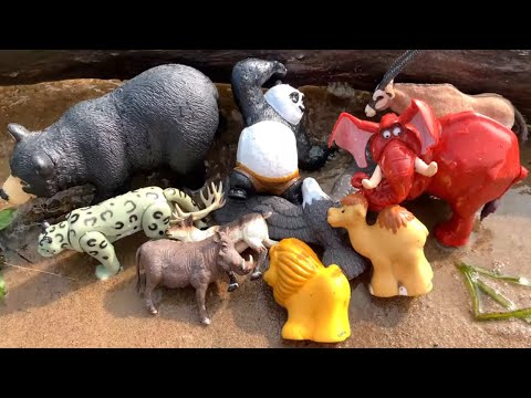 Learn Zoo Animal Names And Fun Facts For Kids with Toys at the Shoreline