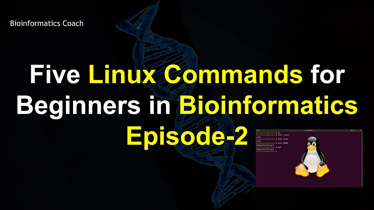 Linux Tutorial for Bioinformatics 101 - Beginners Edition- Episode-2