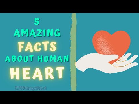 5 SURPRISING FACTS ABOUT HUMAN HEART.