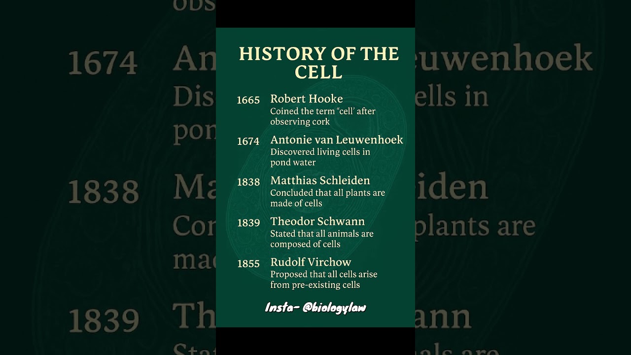 Major Timelines in the History of Cell  #bioneet #biology #science #celltheunitoflife