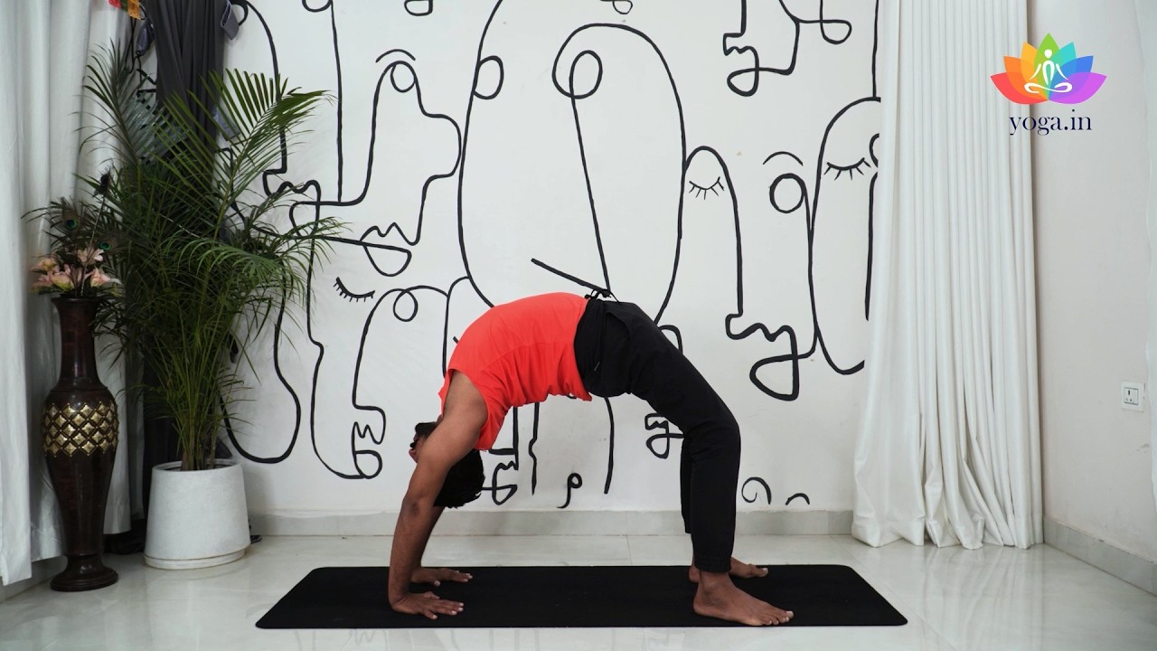 Chakrasana (Wheel Pose) | Advanced Backbend Yoga for Spine Strength, Flexibility & Energy