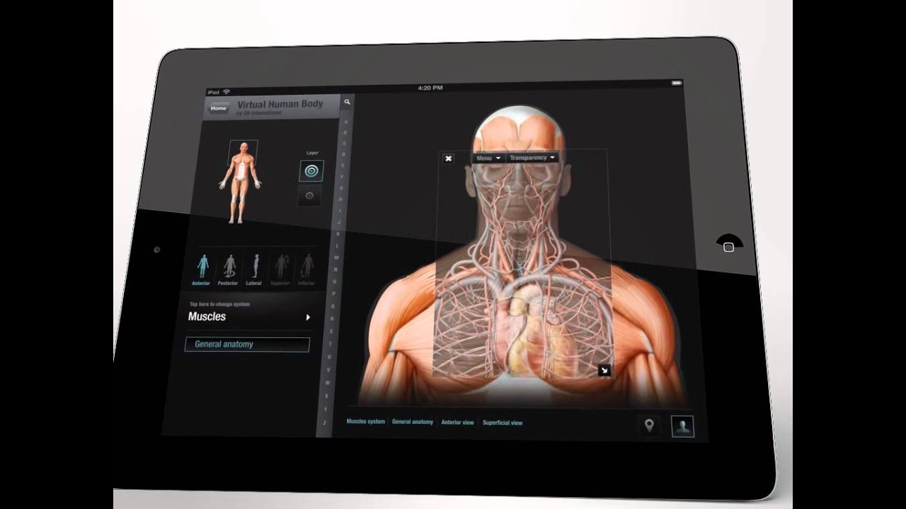 Virtual Human Body - application for iPad