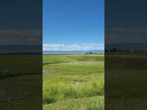 Day 4 Sheridan, WY #justdriveit