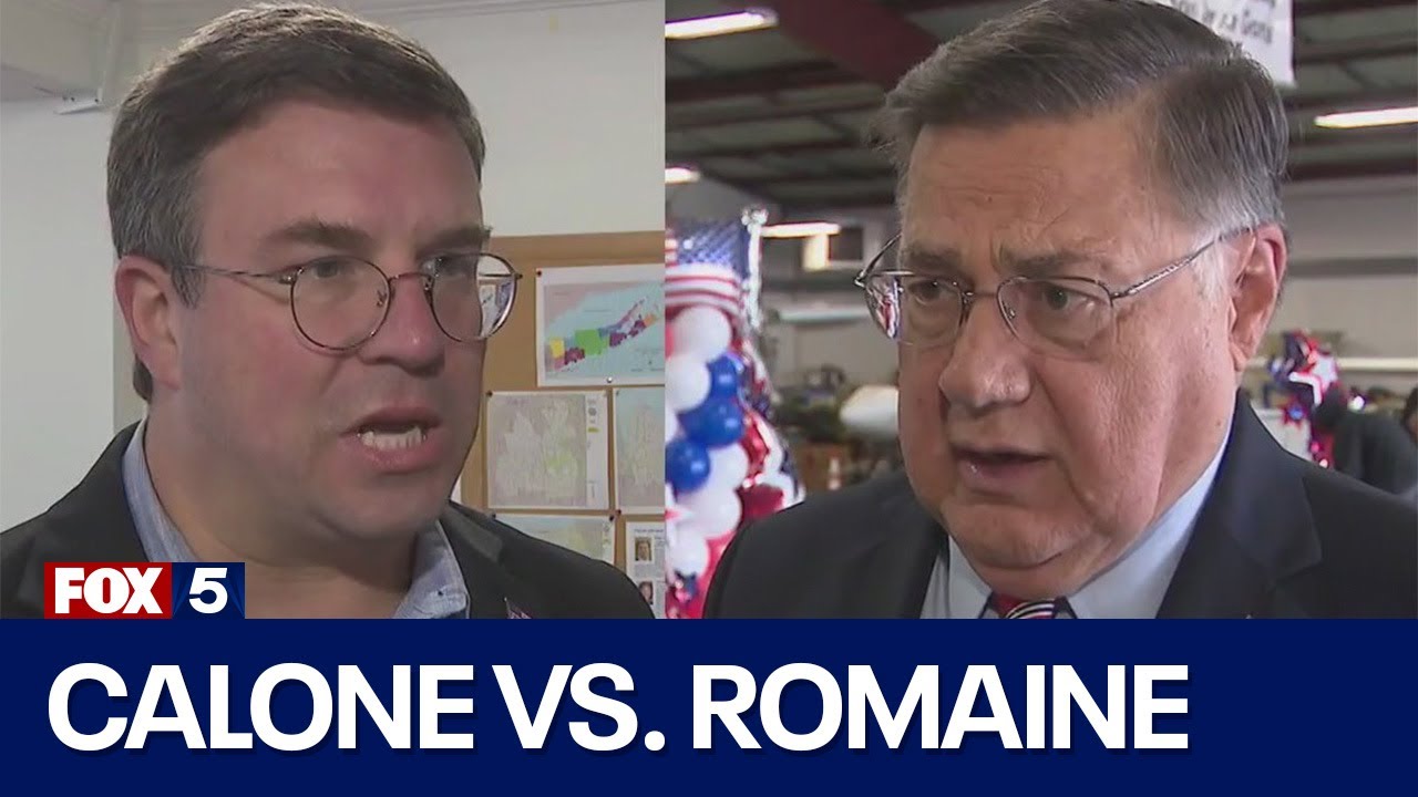 Suffolk County executive candidates