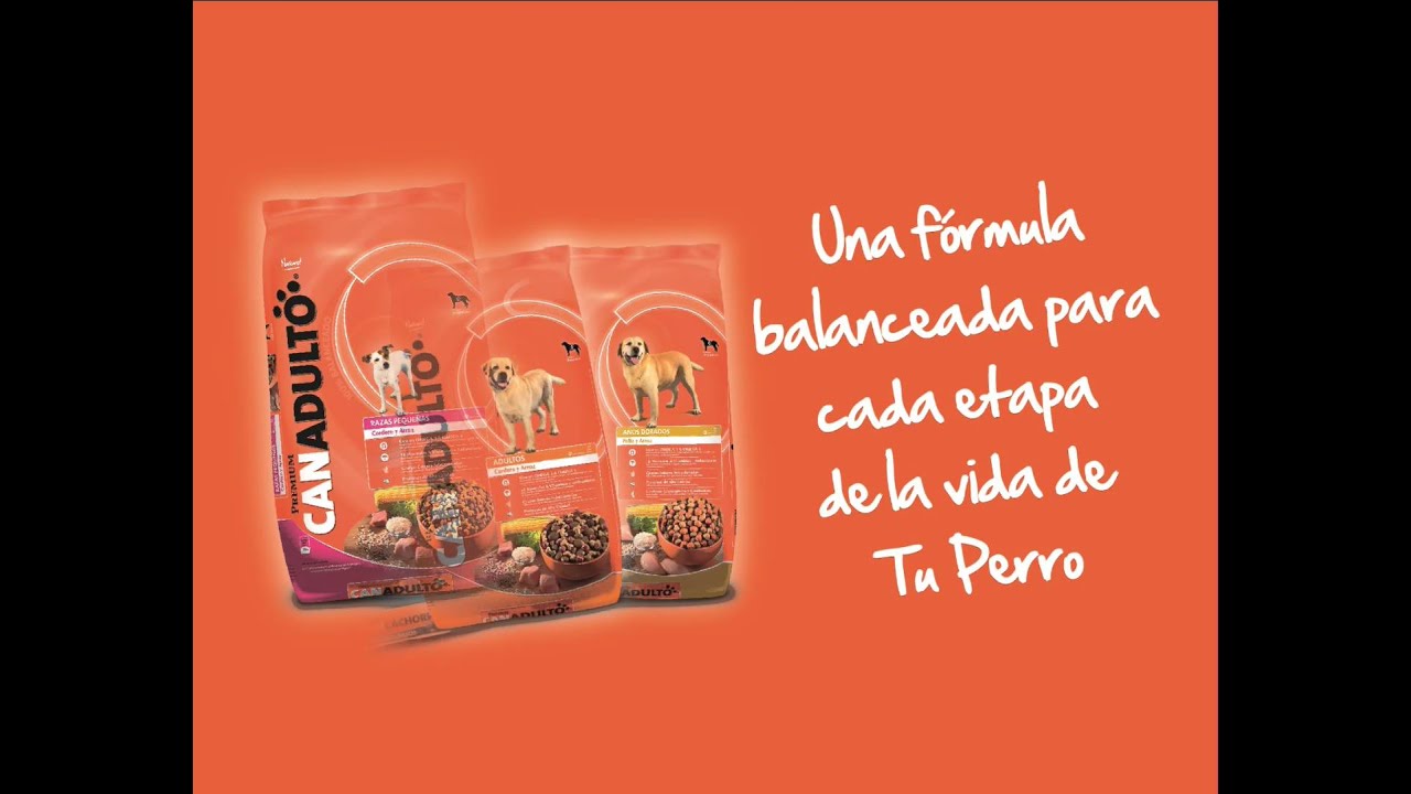 linea can adulto