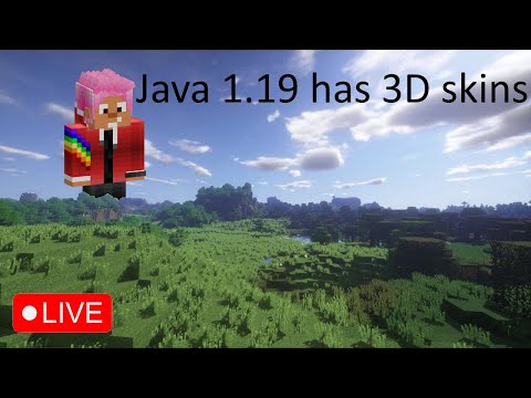 Minecraft JAVA edition 3D skins 1.19 survival