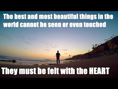 The beautiful things in the world cannot be seen or even touched - they must be felt with the Heart.
