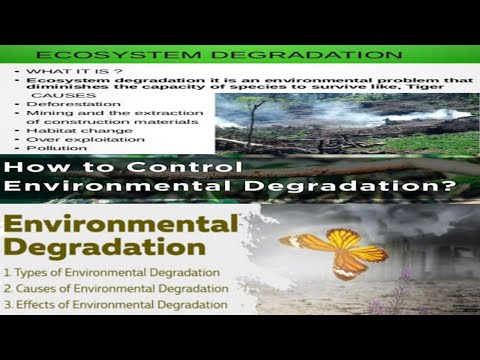 Ecosystem Degradation . Lecture no =19